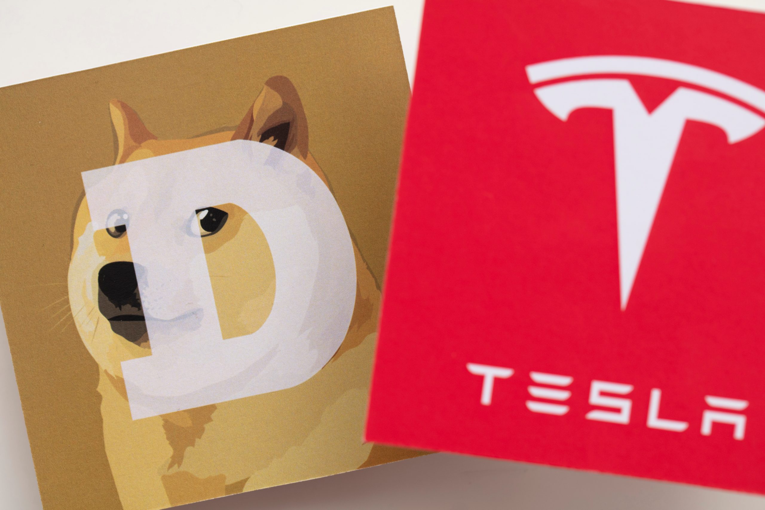Tesla: Doge-Azeptanz für Merchandise lässt Kurs in die Höhe schnellen ...